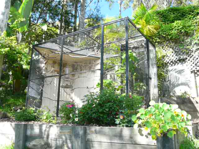 Gorgeous Finch Aviary | Natural bird enclosures for back gardens